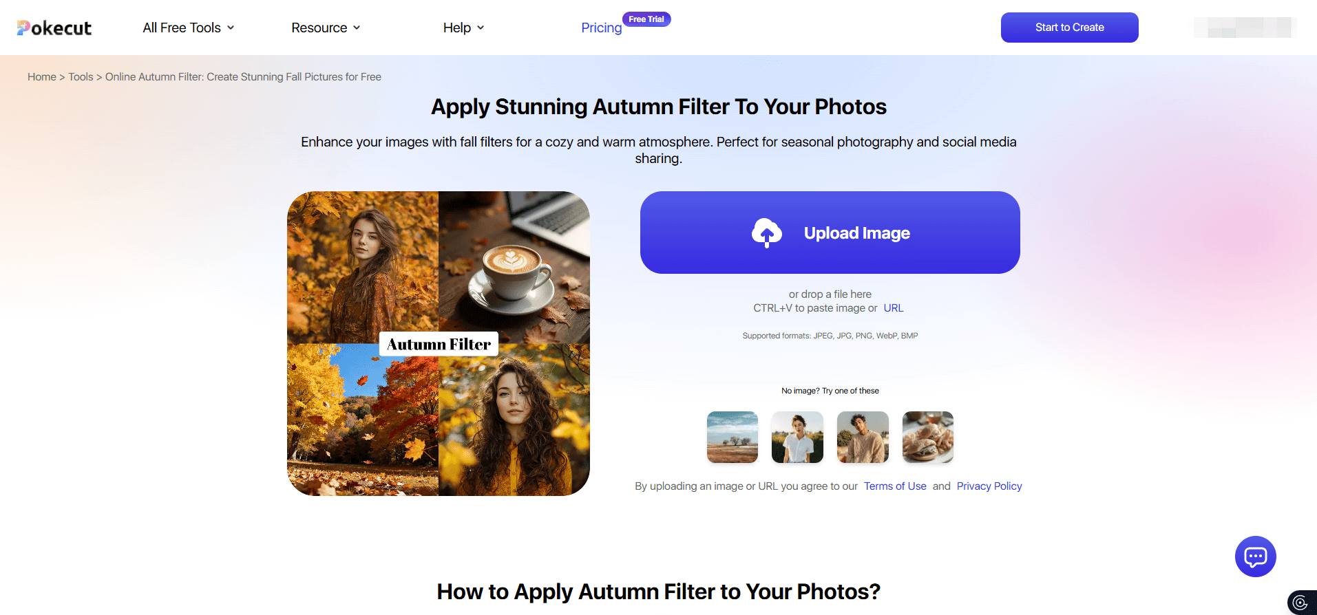 Online Autumn Filter: Create Stunning Fall Pictures for Free
