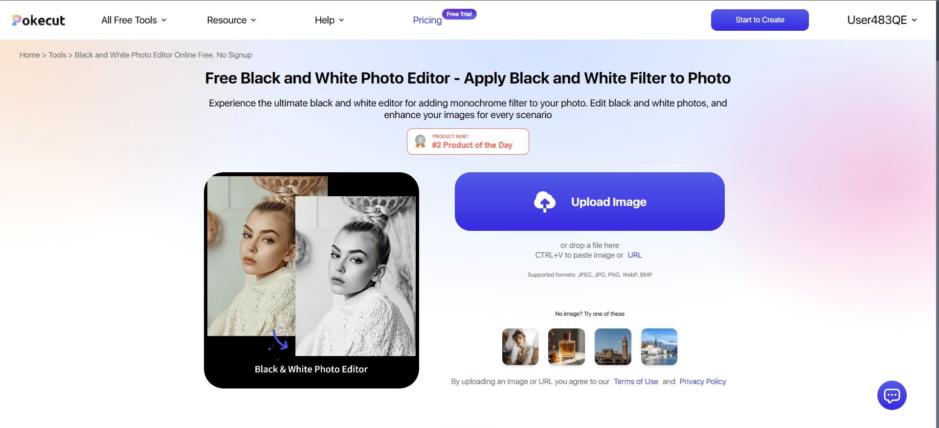 Black and White Photo Editor Online Free. No Signup | Pokecut