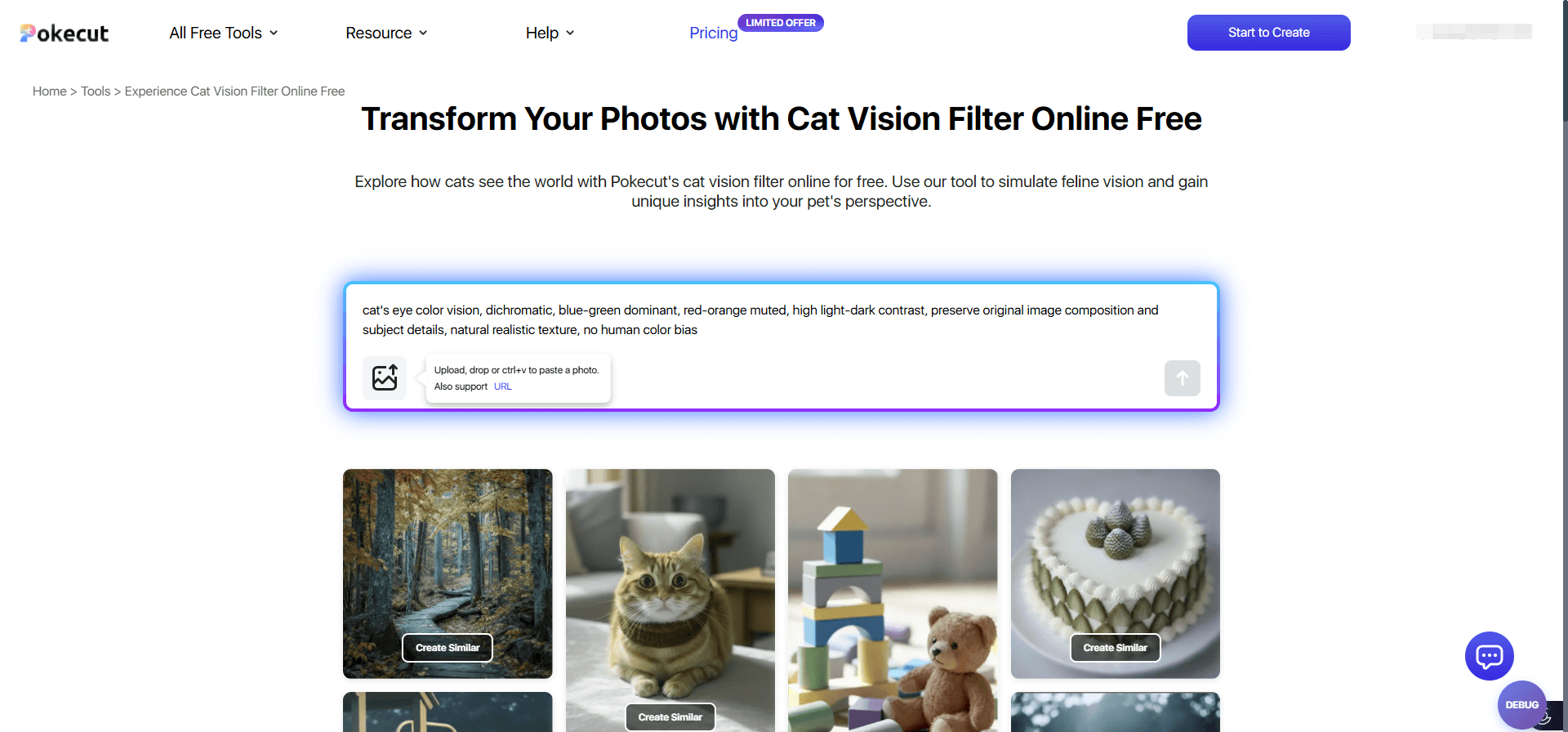 Experience Cat Vision Filter Online Free | Pokecut