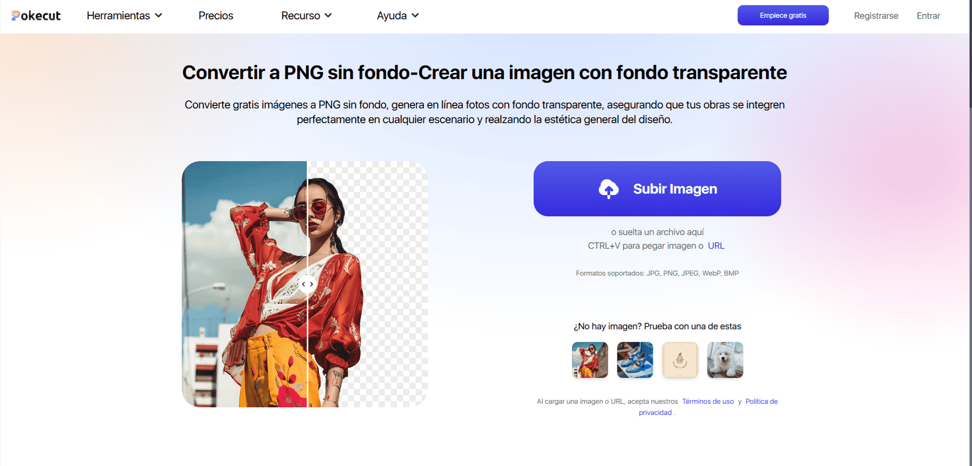 PNG sin Fondo | Pokecut