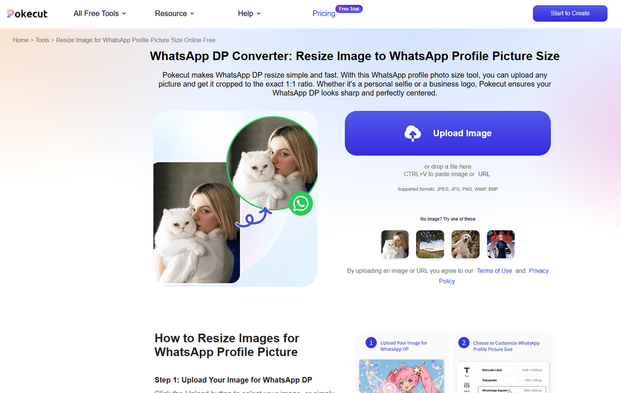 Free Online WhatsApp DP Converter: Resize Without Cropping
